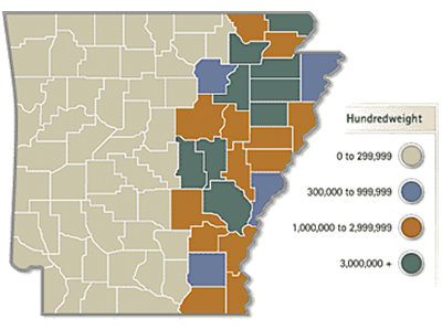 Stats – Arkansas Rice Research and Promotion Board